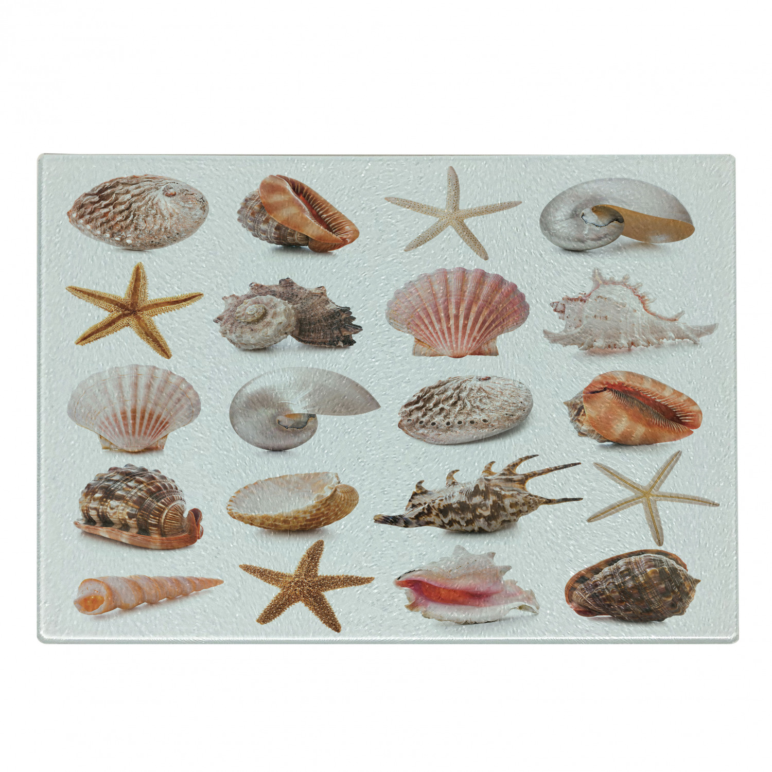 Seashells Cutting Board, Seashell Pattern Scallop Nautilus Mollusk ...