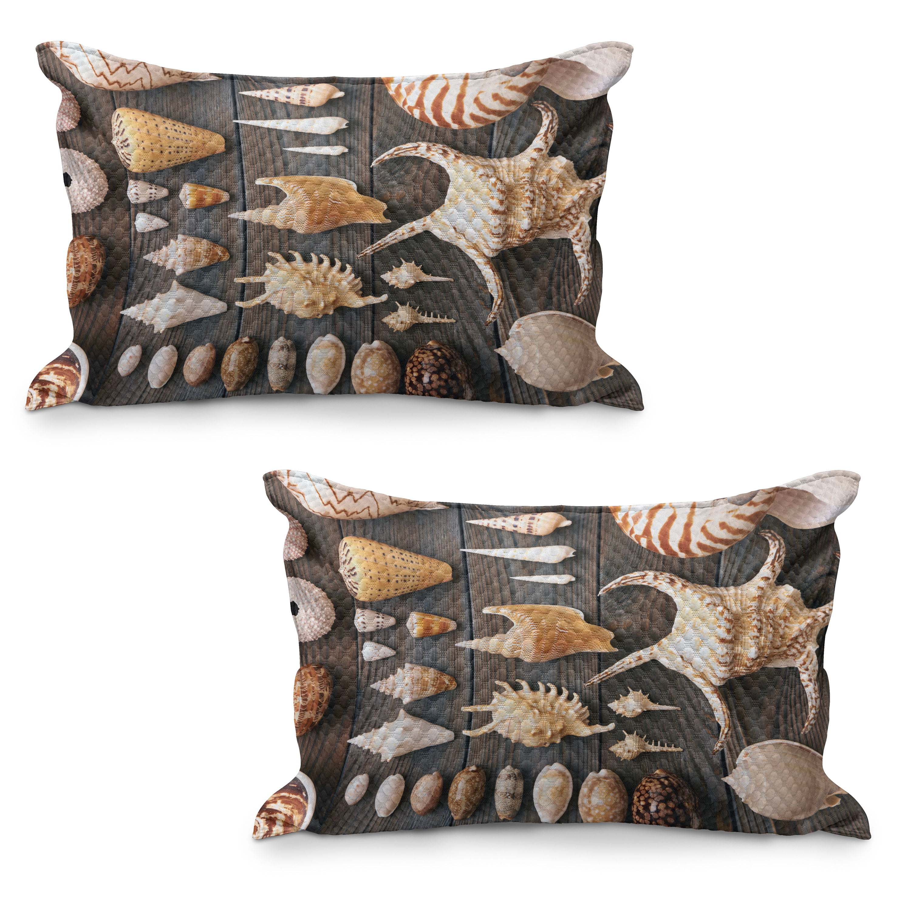 Seashells Quilted Pillowcover Set of 2, Seashell Background Still Life ...