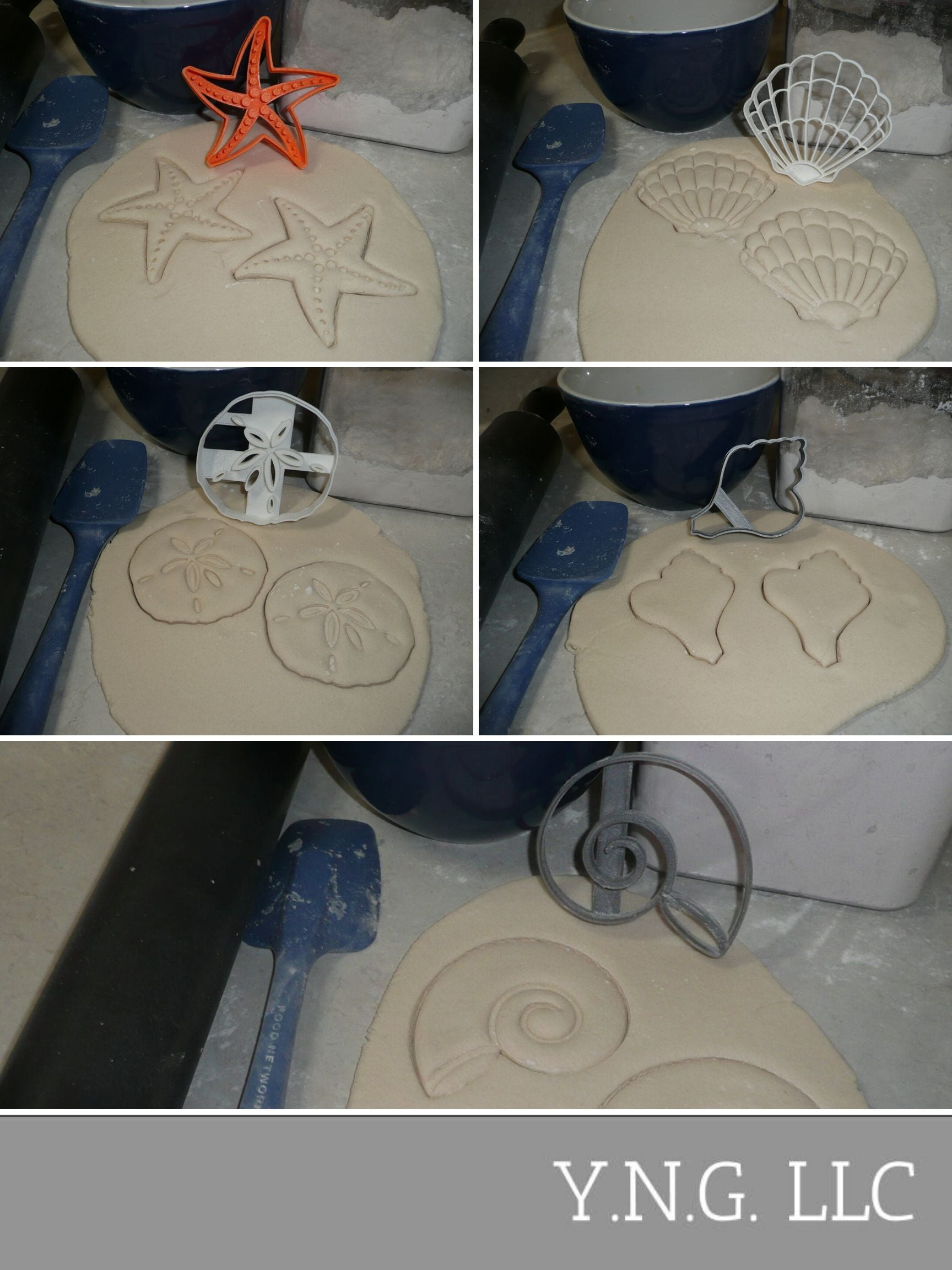 Seashells Sea Shells Ocean Shell Water Beach Set of 5 Cookie Cutters ...