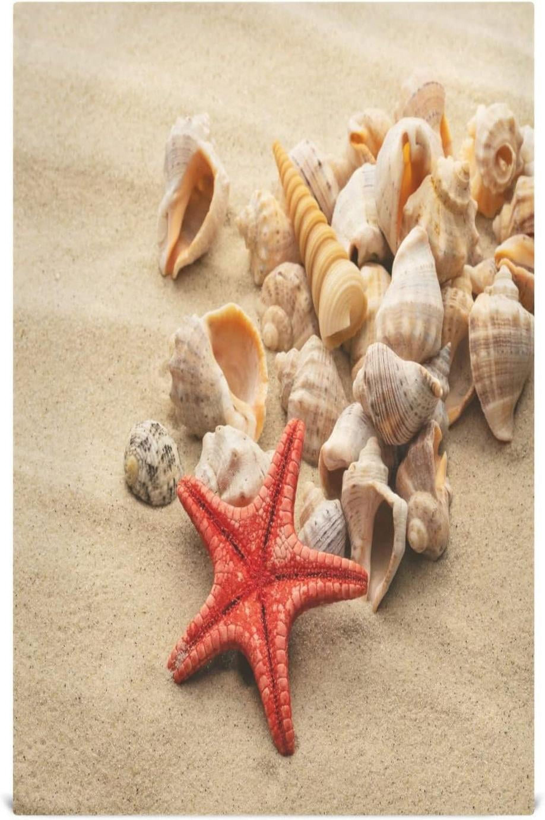 Seashells Starfish Beach Tea Towels Set of 1 Sand Conch Kitchen Dish ...