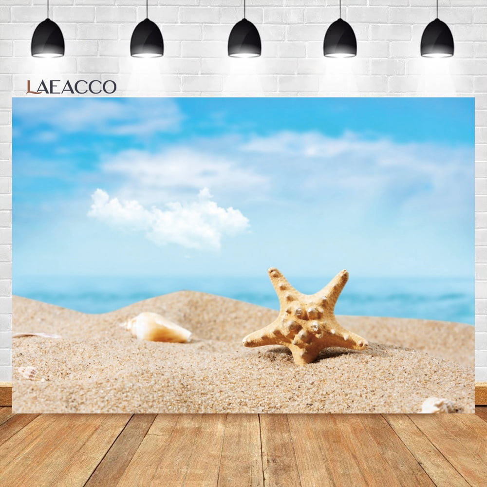 Seaside Beach Backdrop StarConch Mussel Shells Shell Pure White ...