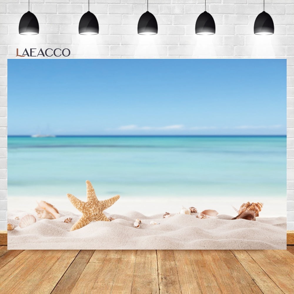 Seaside Beach Backdrop StarConch Mussel Shells Shell Pure White ...