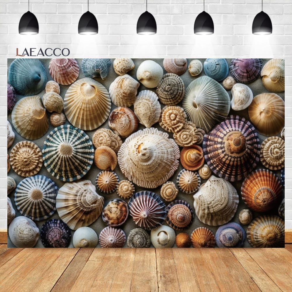Seaside Beach Backdrop StarConch Mussel Shells Shell Pure White ...