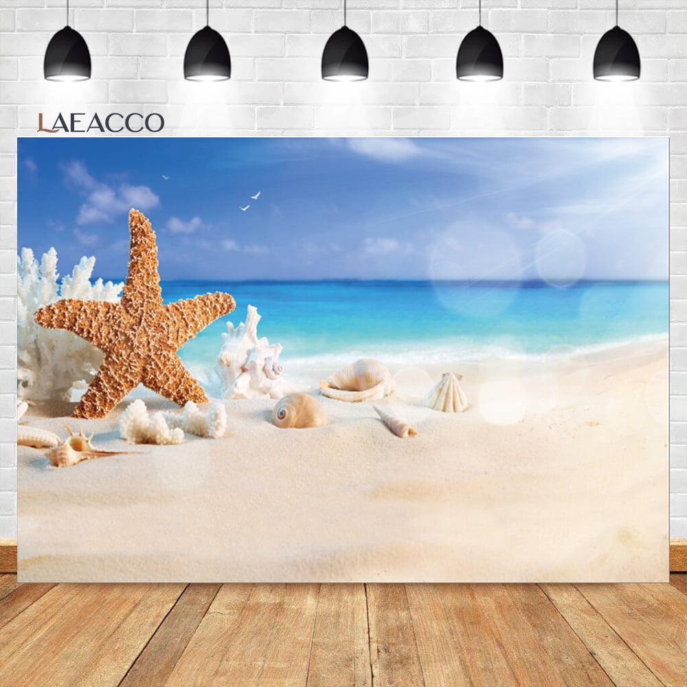 Seaside Beach Backdrop StarConch Mussel Shells Shell Pure White ...