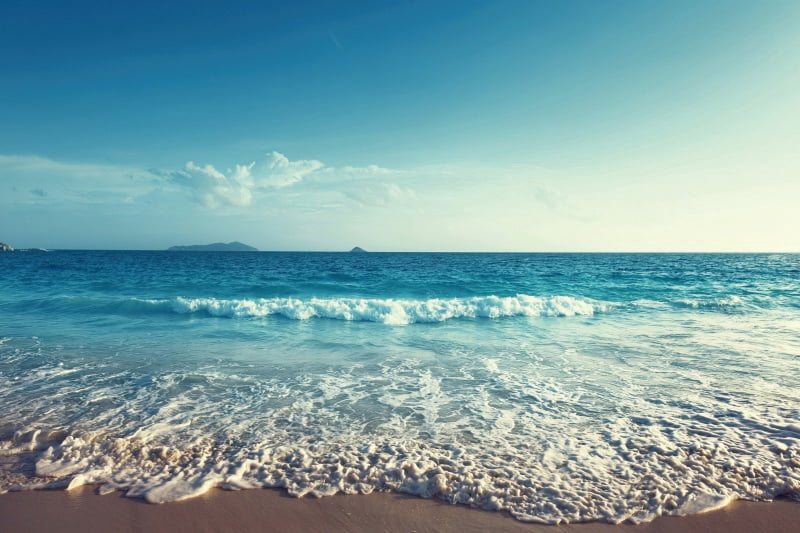 Seaside Beach Backdrop Sunrise Sea Wave Clouds Outdoor Scenery Wedding ...