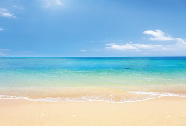 Seaside Beach Photo Backdrop Blue Sky And White Cloud Clear Day Summer ...