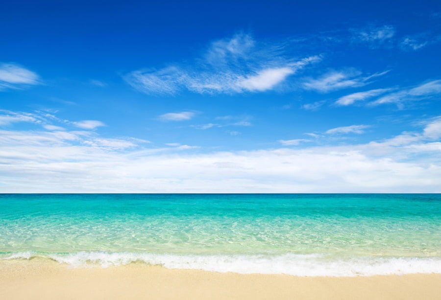 Seaside Beach Photo Backdrop Blue Sky And White Cloud Clear Day Summer ...