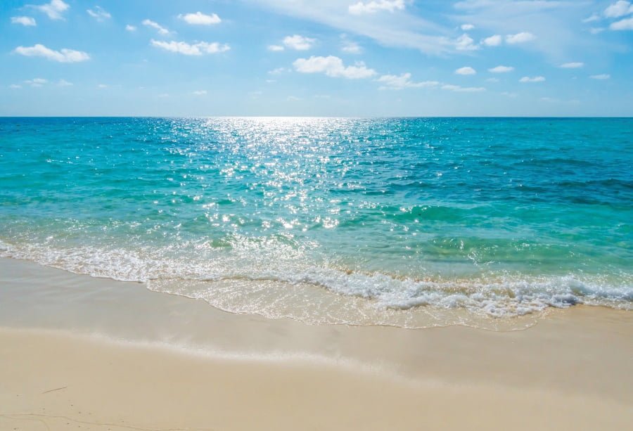 Seaside Beach Photo Backdrop Blue Sky And White Cloud Clear Day Summer ...