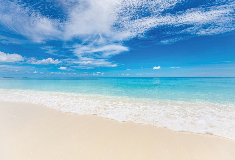 Seaside Beach Photo Backdrop Blue Sky And White Cloud Clear Day Summer ...