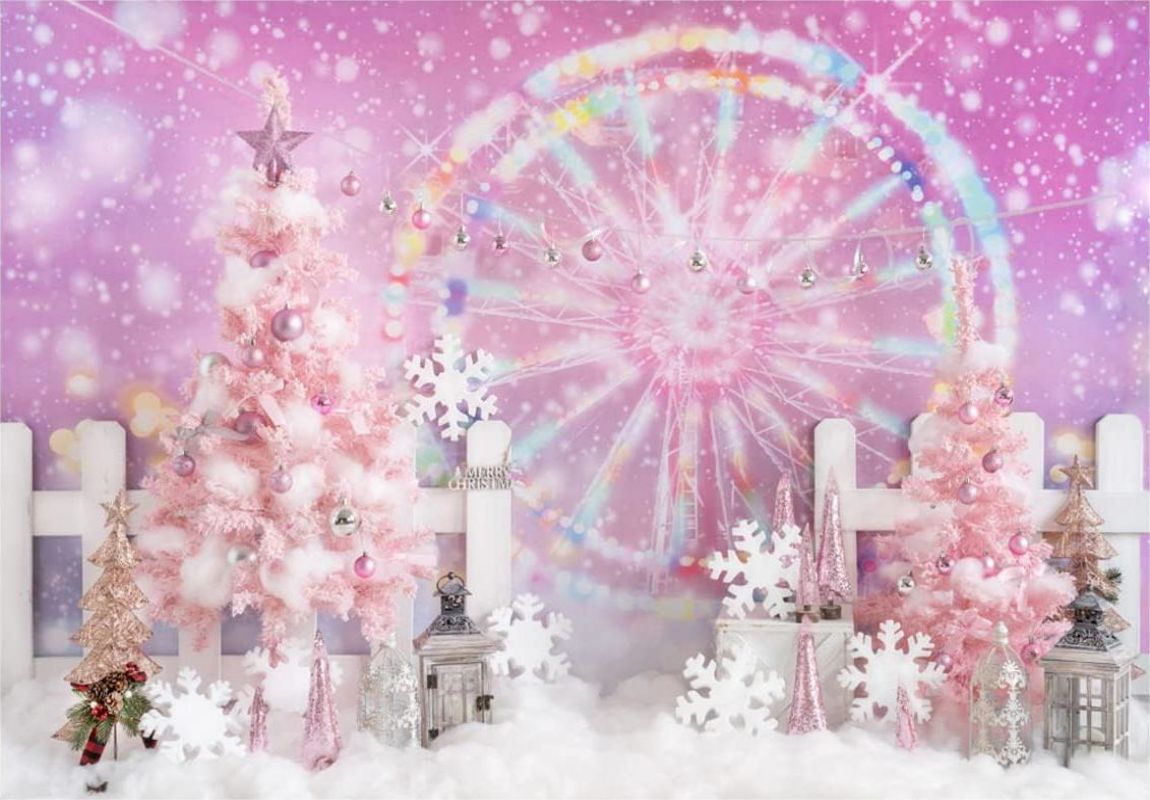 Seaside Ferris Wheel Photography Backdrops Background Photo ration Baby ...