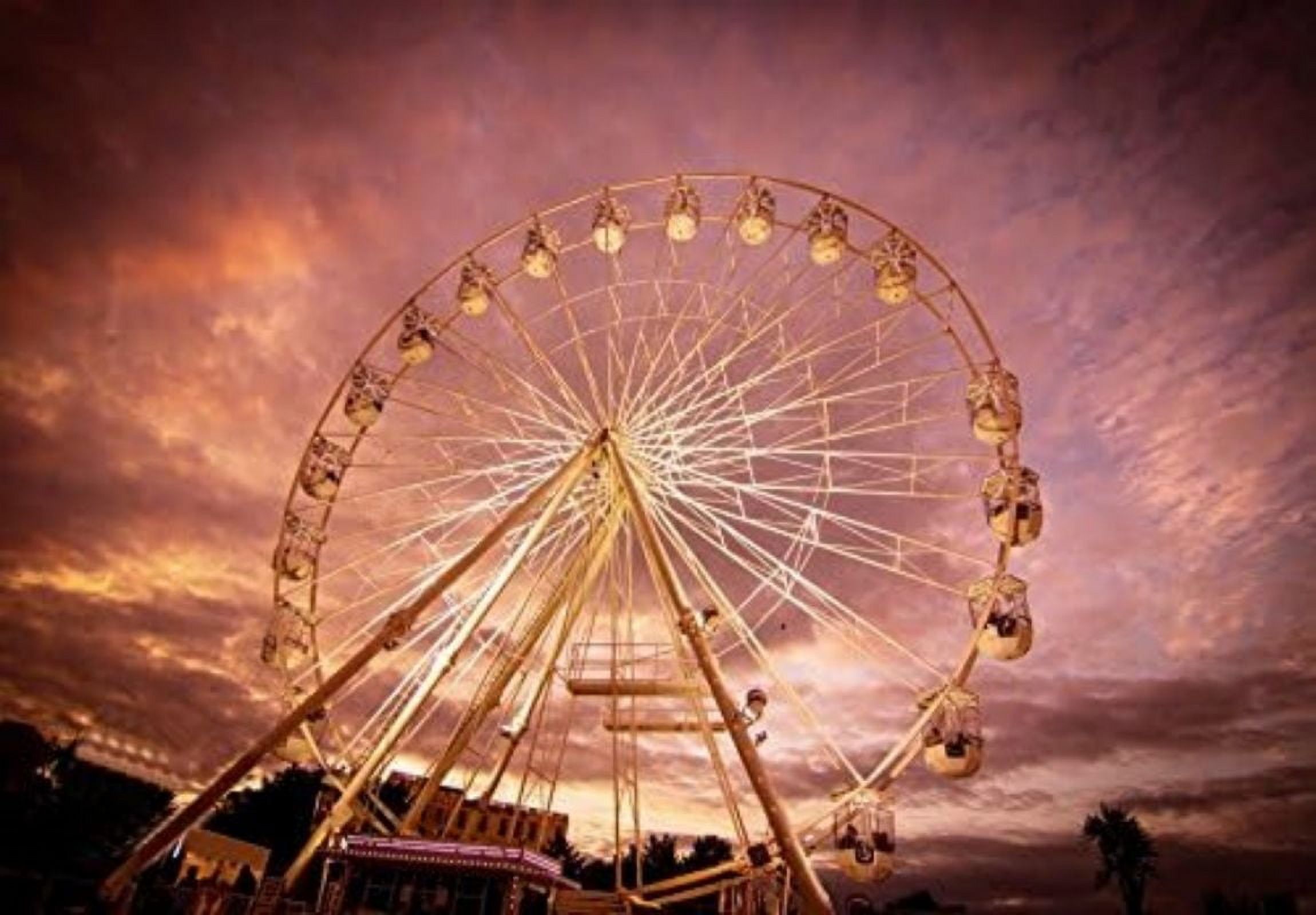 Seaside Ferris Wheel Photography Backdrops Background Photo ration Baby ...