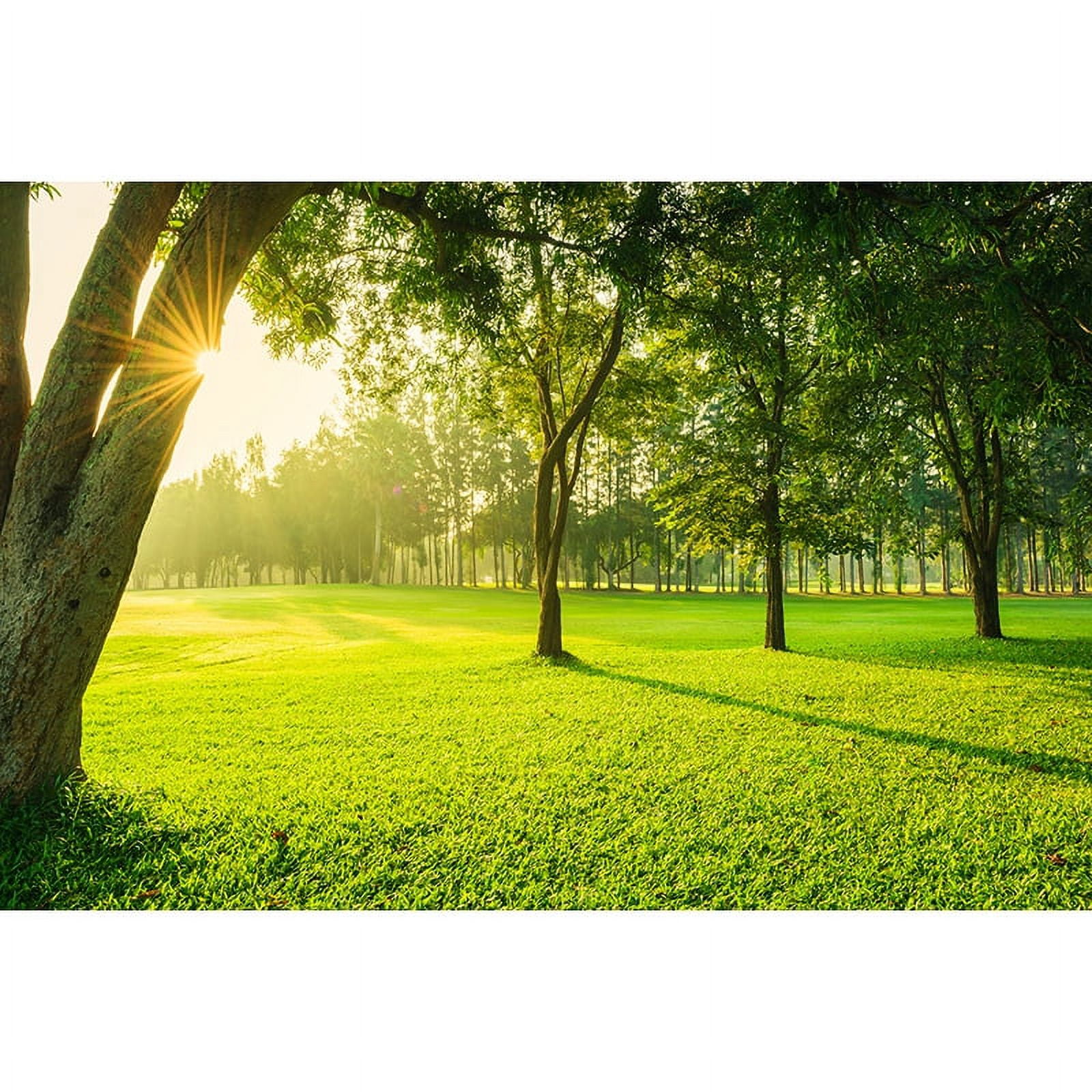 Seaside Graffiti Snowy Mountains Photography Background Tornado Clouds ...