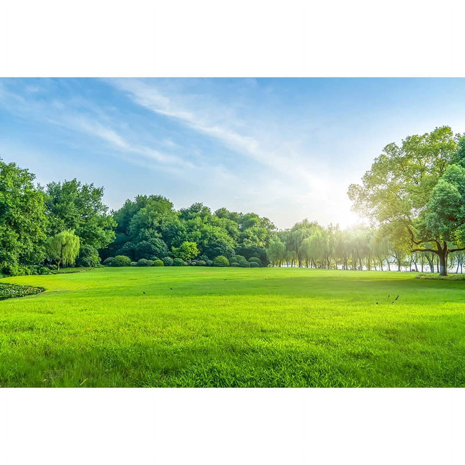Seaside Graffiti Snowy Mountains Photography Background Tornado Clouds ...