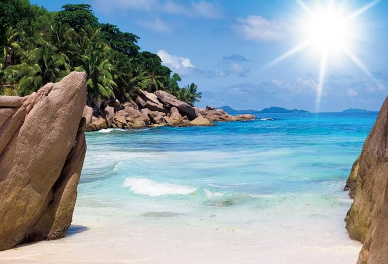 Seaside Scenery Backdrop Spring Sunshine Coast Rocky Seashore Island ...