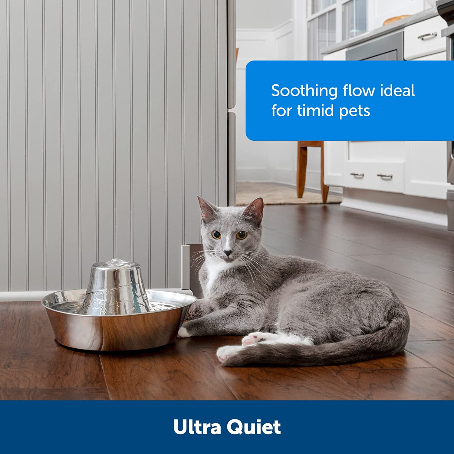 Seaside Stainless Pet Fountain - Encourages Hydration - Dual Filtration ...