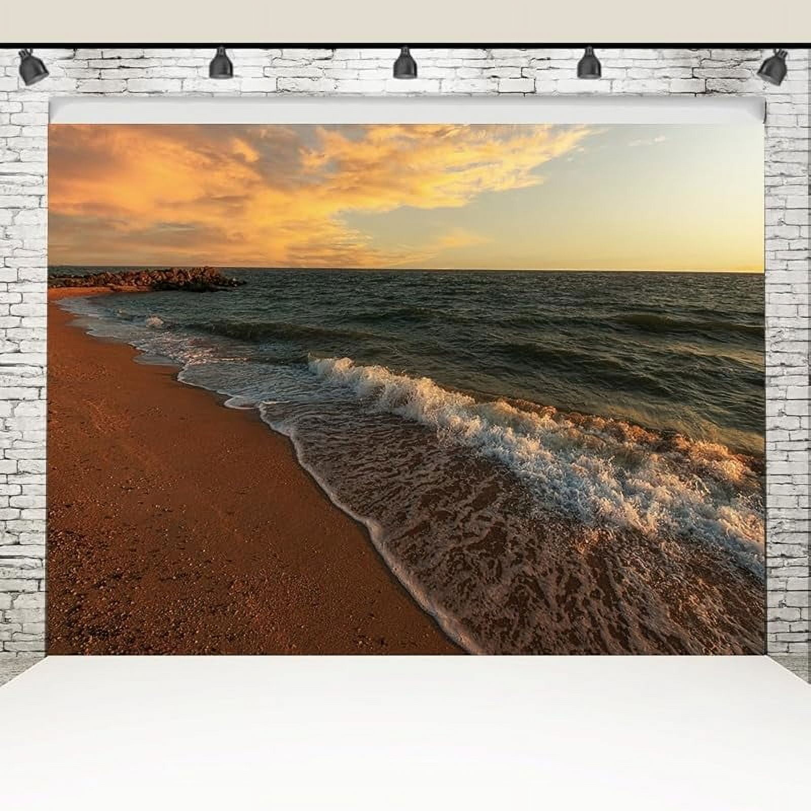 Seaside Sunset Backdrops Seaside Palm Tree Photography Background ...