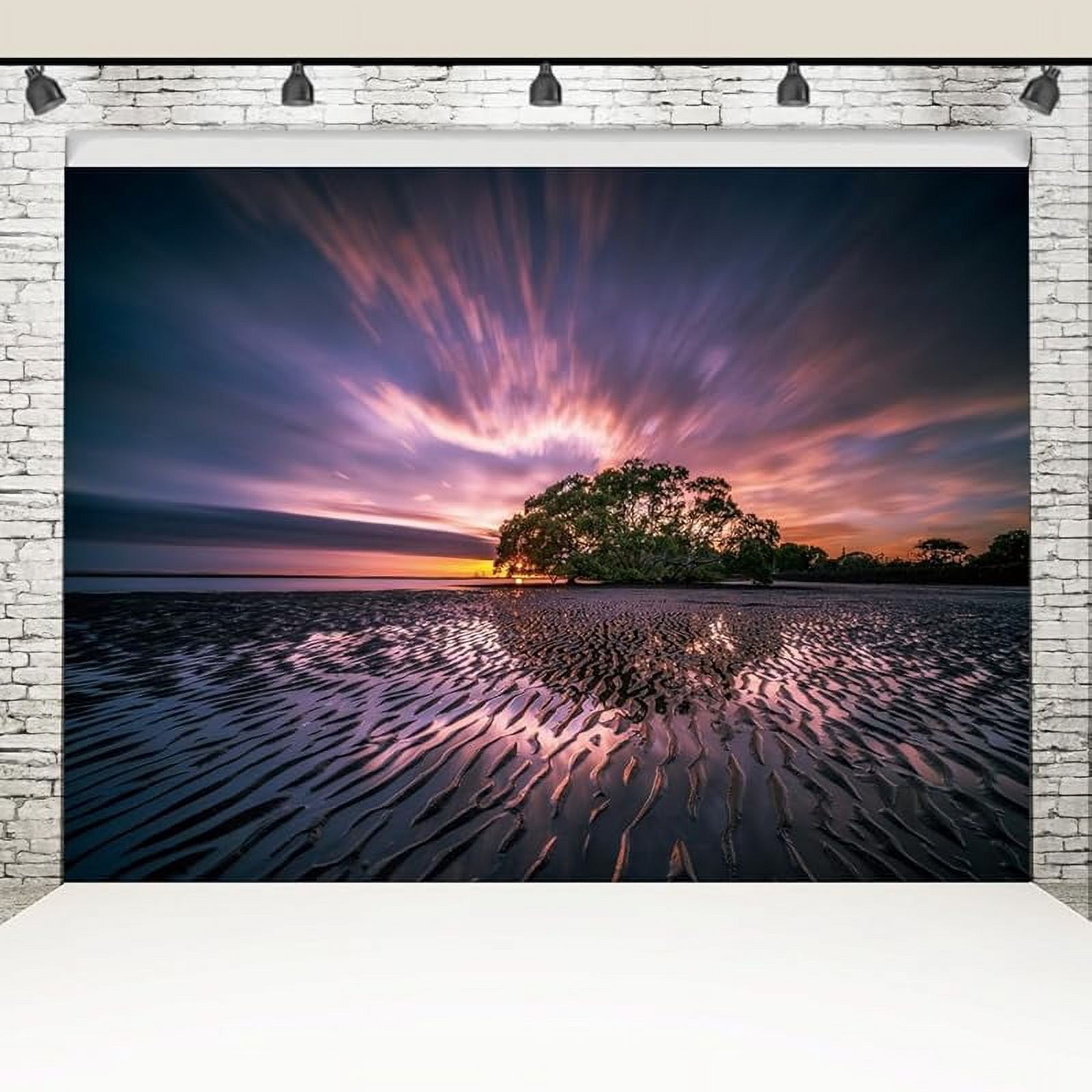 Seaside Sunset Backdrops Seaside Palm Tree Photography Background ...