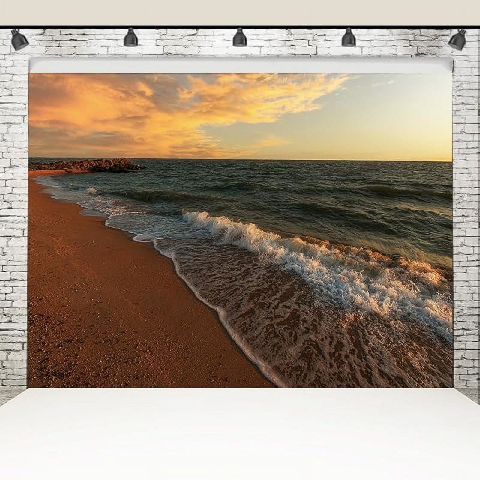 Seaside Sunset Backdrops Seaside Palm Tree Photography Background ...