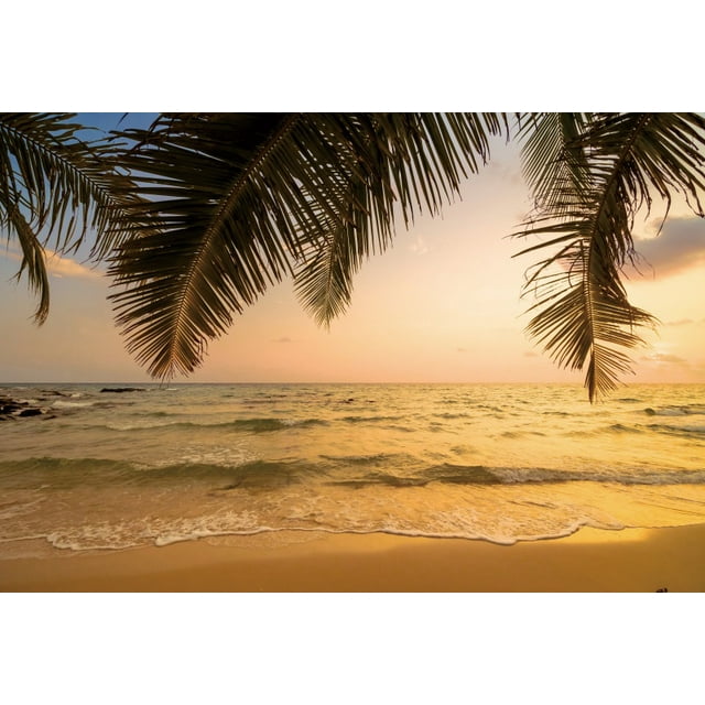 Seaside Sunset Photo Backdrop Tropical Hawaiian Palm Trees Beach Dusk ...