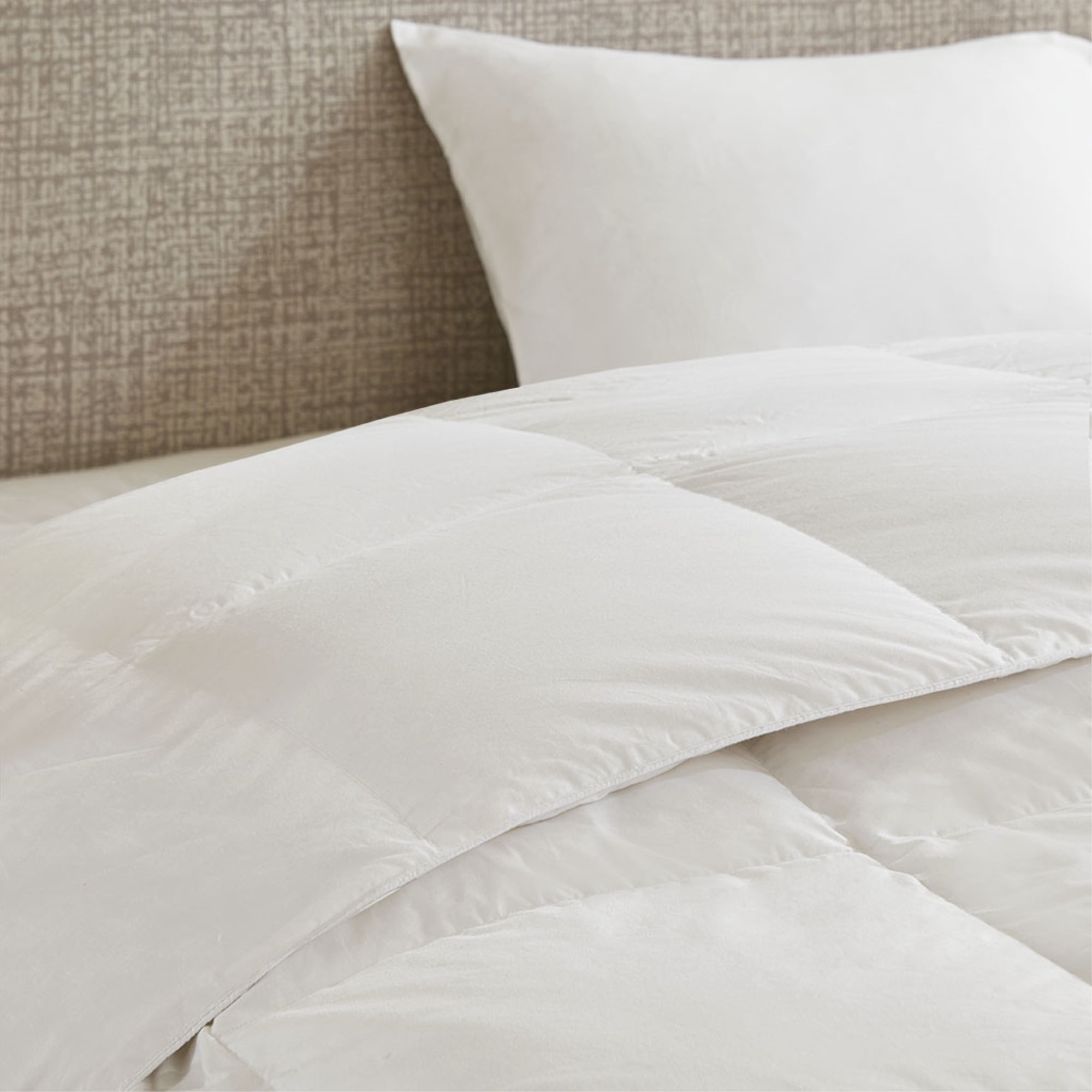 All Season Warmth Oversized 100% Cotton Down Comforter, White ...