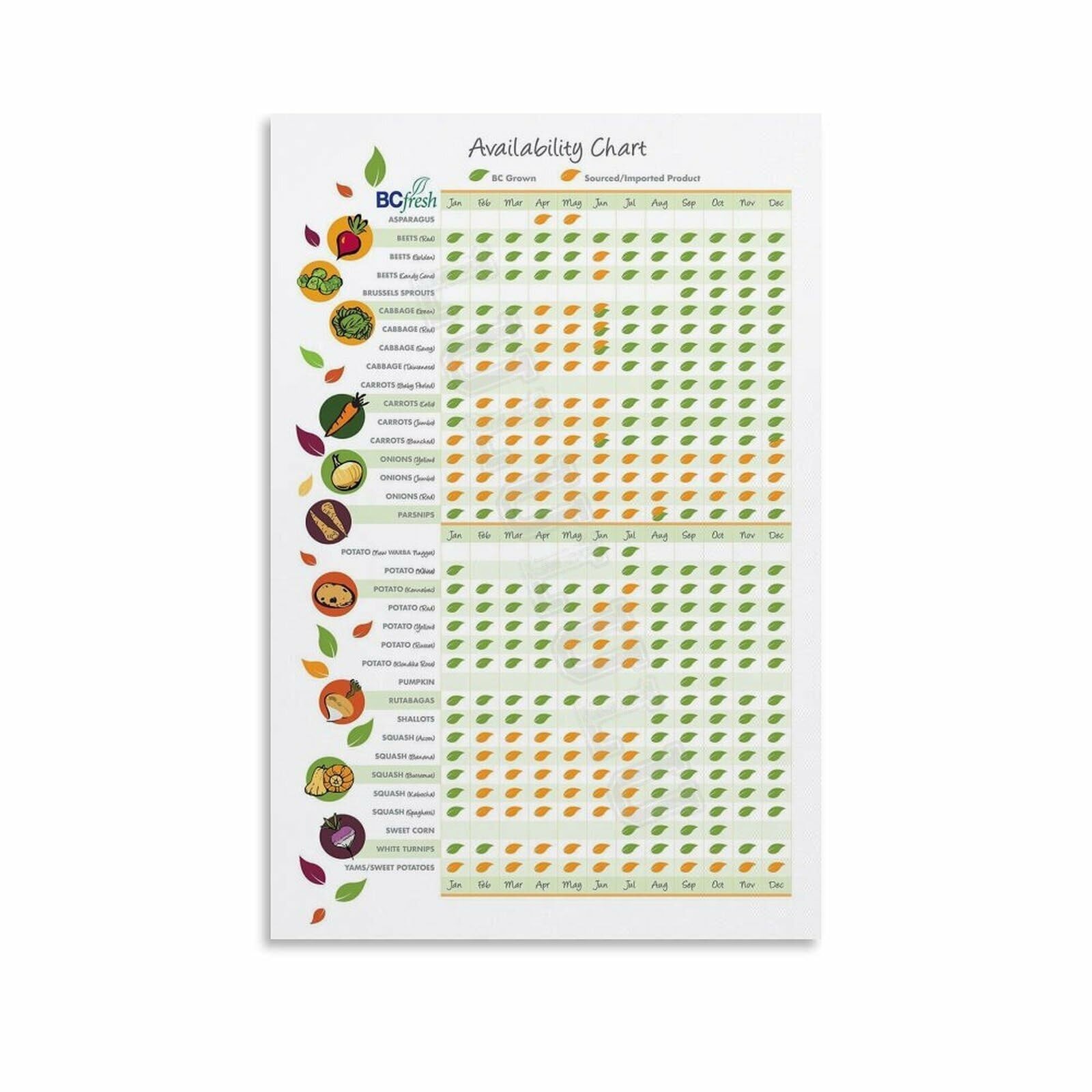Seasonal Fruit Chart Poster Health Benefits Of Fruits (1) Canvas ...