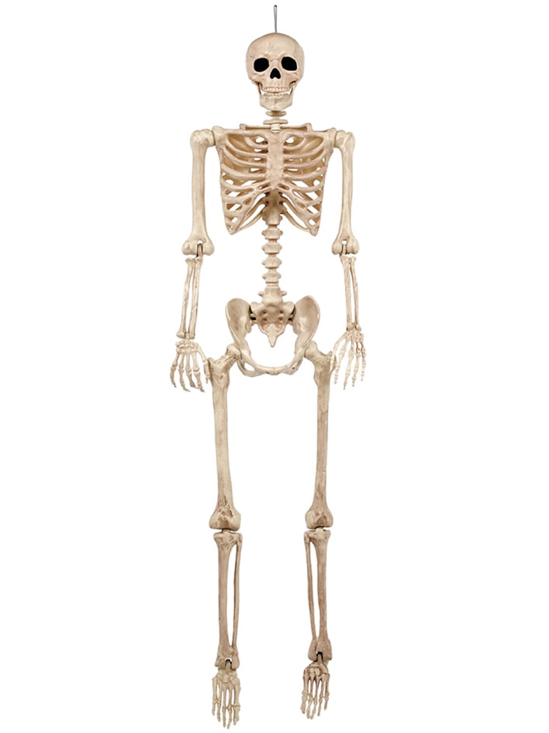 Seasons 5 FT Pose-N-Stay Life Size Skeleton with Realistic Posable and ...