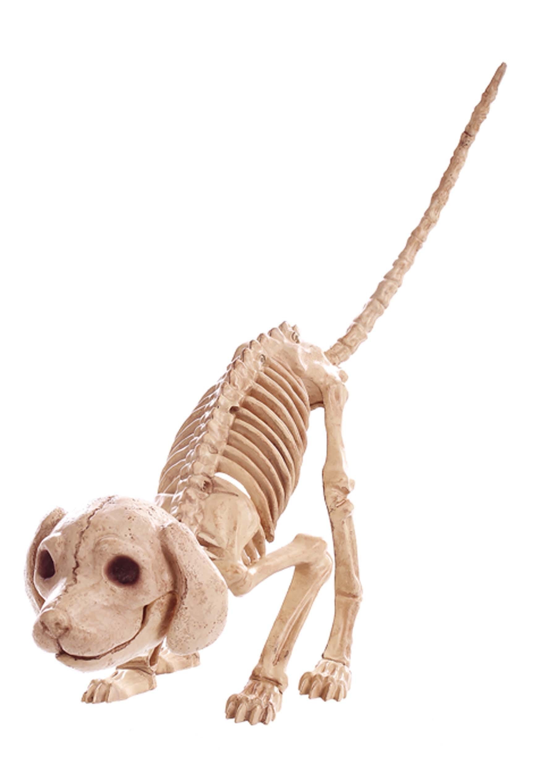 Seasons 7.5 in Standing Puppy Plastic Skeleton Decoration - Off-White ...
