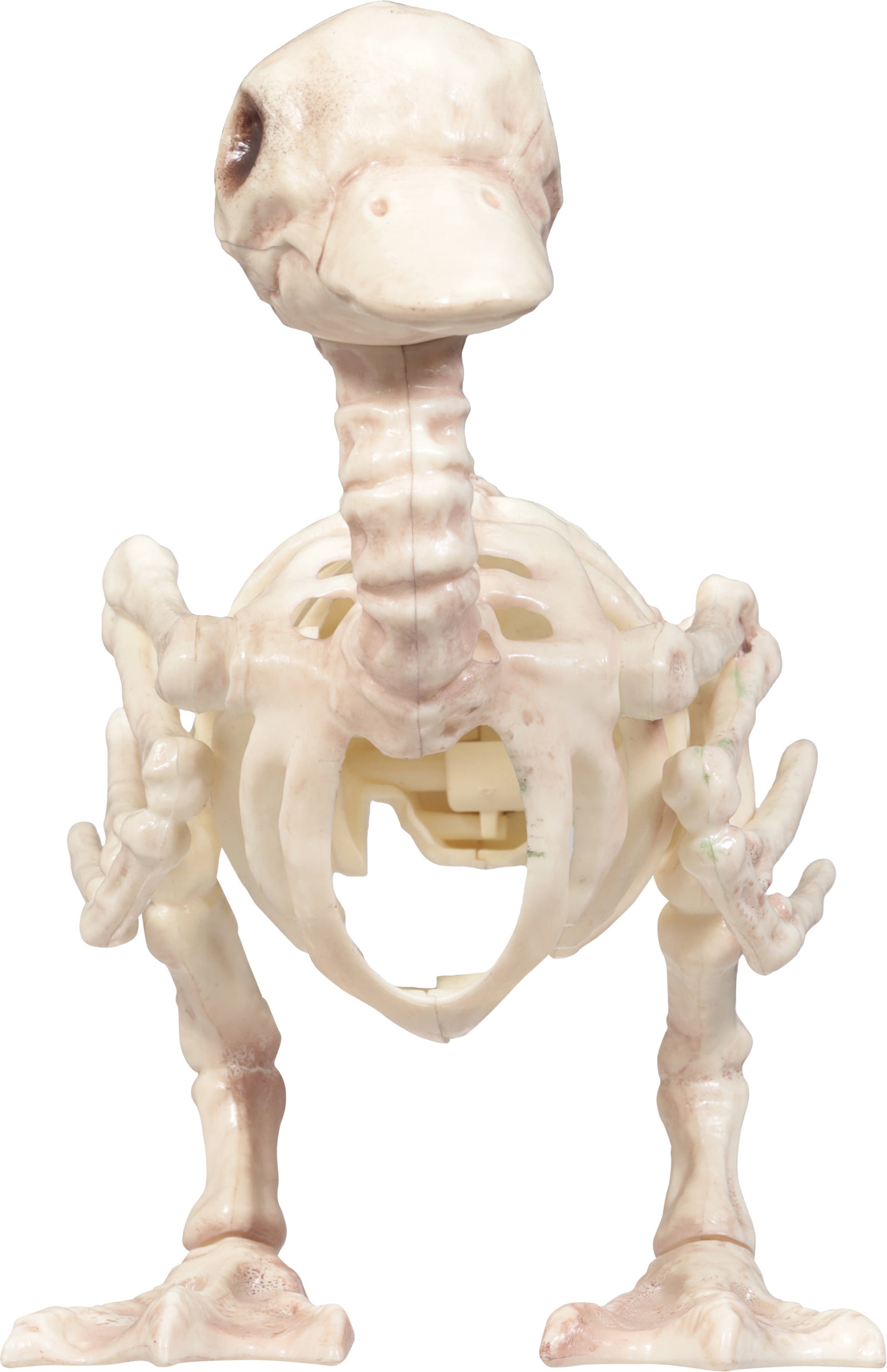 Seasons HK Skeleton Duck Small 1 ea - Walmart.com