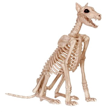 Buster Bonez 28" Posable Skeleton Dog Halloween Decoration - Walmart.com