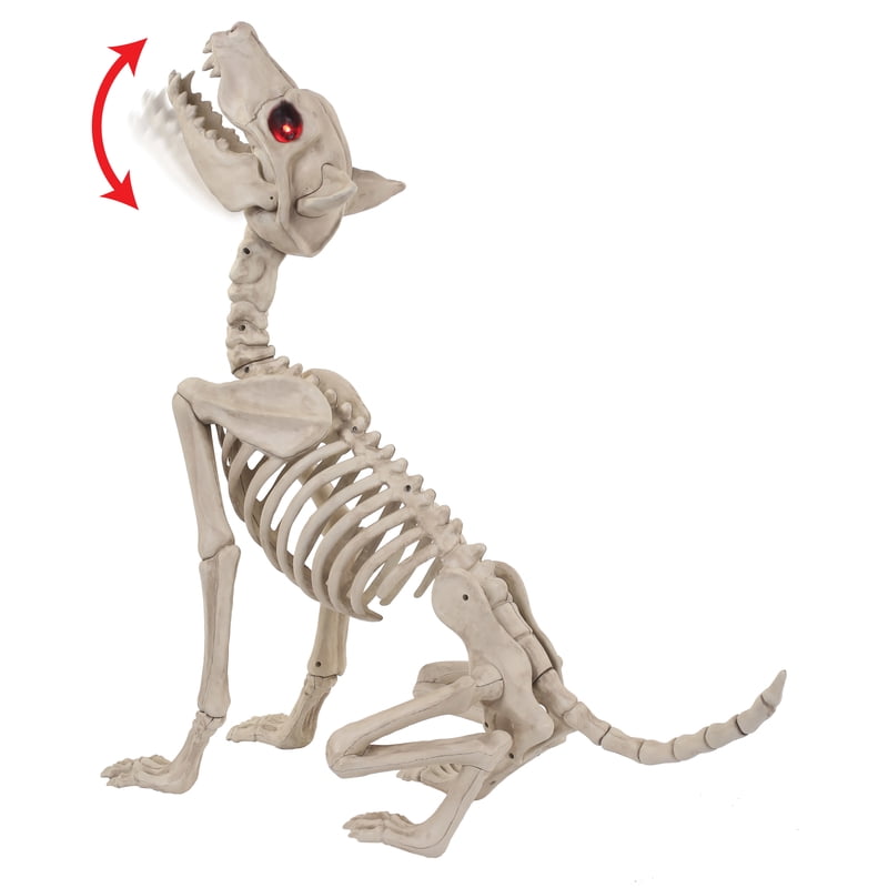 Seasons Red 27.5 in. Prelit Animated Wolf Skeleton Halloween Decor ...
