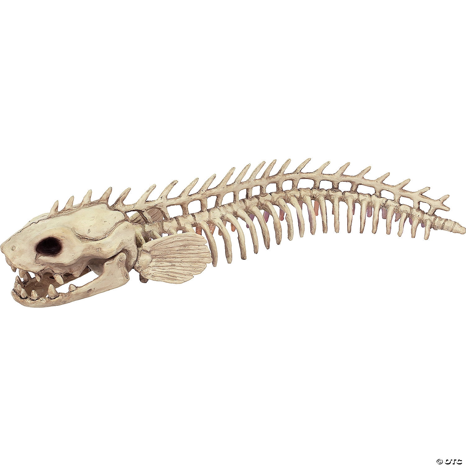 Seasons USA Eel Skeleton Prop Halloween Decoration - - Walmart.com