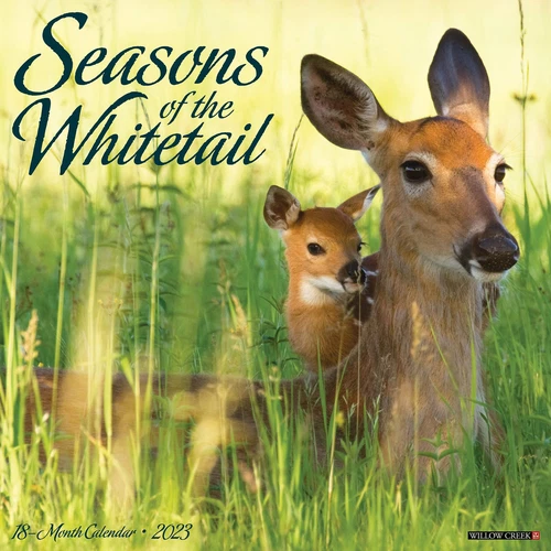 Seasons of the Whitetail 2023 Wall Calendar - Walmart.com