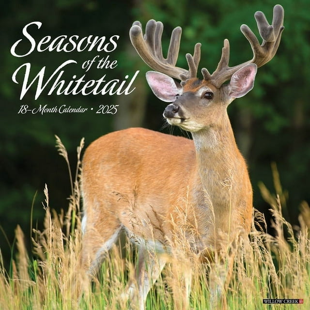 Seasons of the Whitetail (Deer) 2025 Wall Calendar - Walmart.com