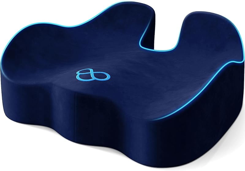 Seat Cushion with Carry Handle, Memory Foam for Tailbone/Sciatica ...