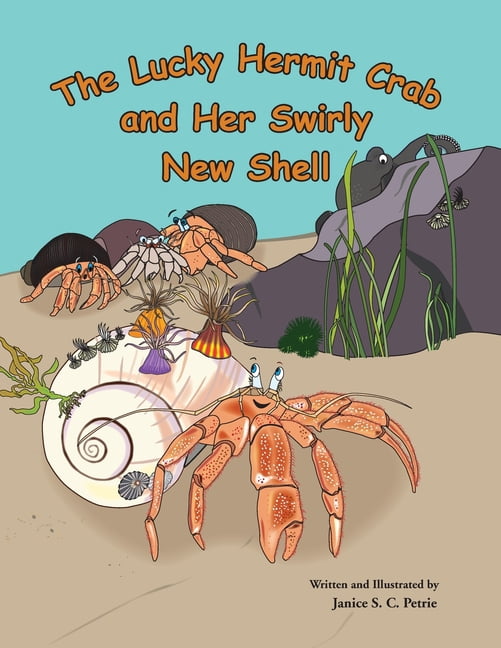 Seatales Sea Animal The Lucky Hermit Crab and Her Swirly New Shell ...
