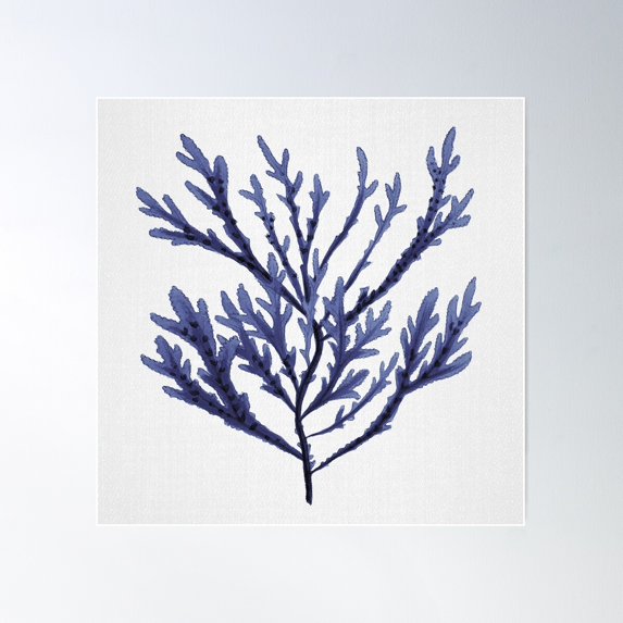 Seaweed 5 Poster Wall Art, Modern Wall Decor For Living Room Bedroom ...