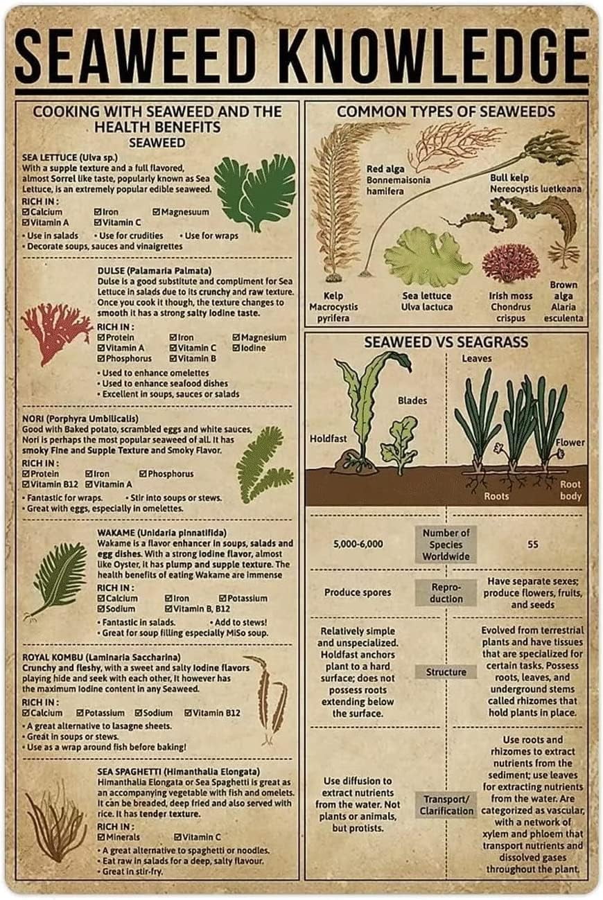 Seaweed Knowledge Metal Tin Signs Vintage Seaweed Infographic Posters ...