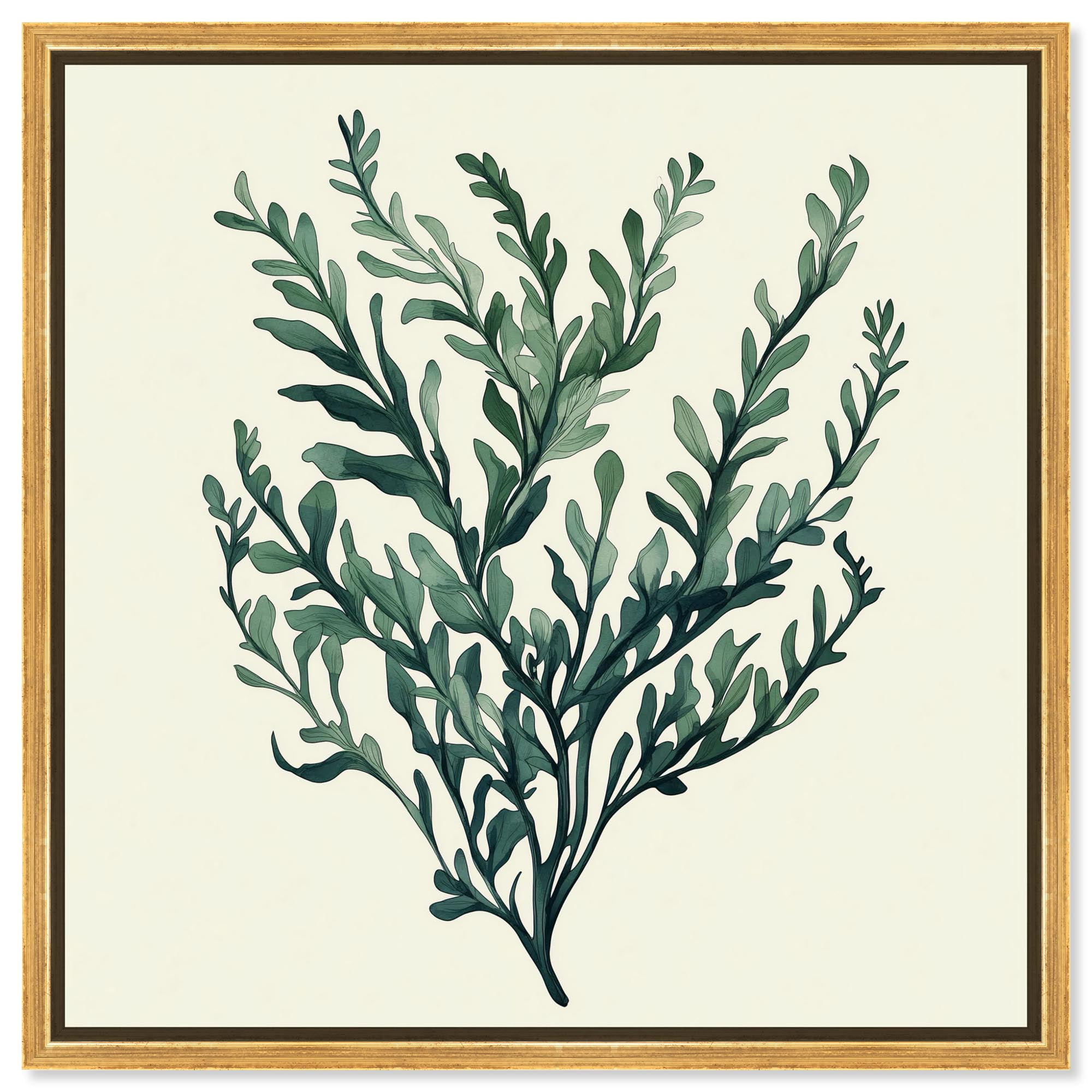 Seaweed Reverie Canvas Vintage Botanic Art by Art Remedy, Gold Frame, 30" x 30" - Walmart.com