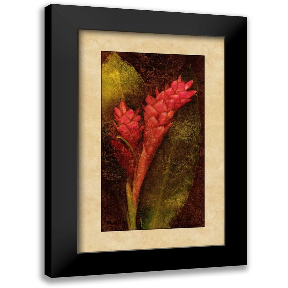 Seba, John 10x14 Black Modern Framed Museum Art Print Titled - Ginger ...