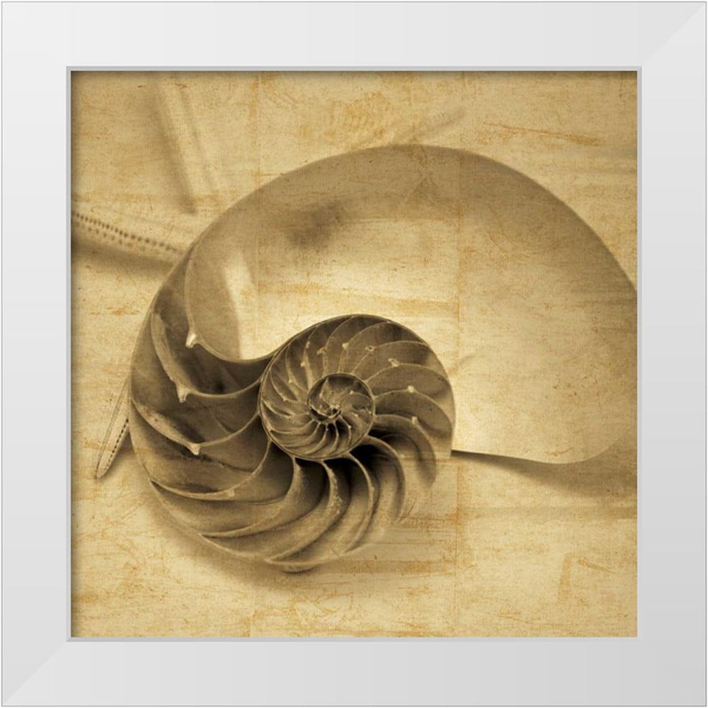 Seba, John 12x12 White Modern Wood Framed Museum Art Print Titled ...