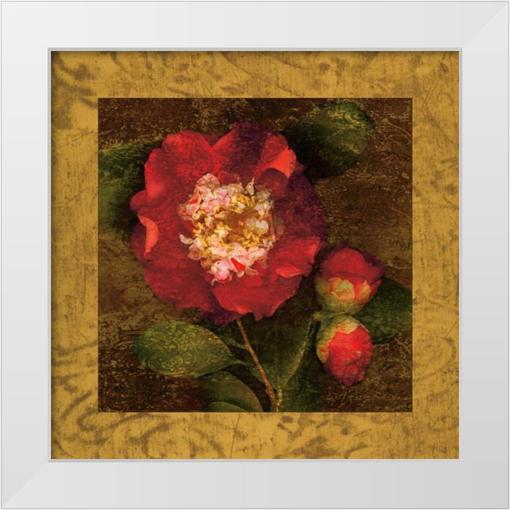Seba, John 12x12 White Modern Wood Framed Museum Art Print Titled - Red ...