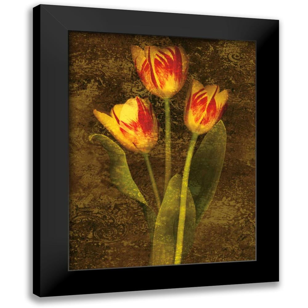 Seba, John 12x14 Black Modern Framed Museum Art Print Titled - Three ...