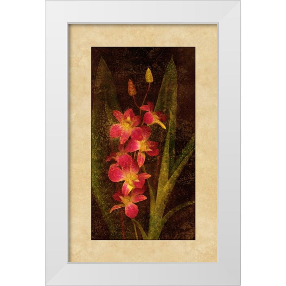 Seba, John 13x18 White Modern Wood Framed Museum Art Print Titled ...