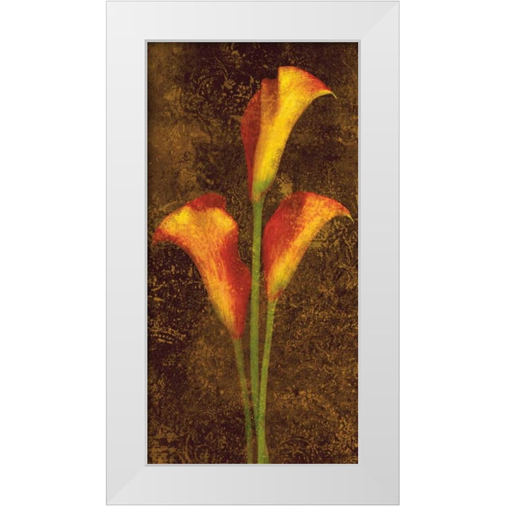 Seba, John 14x24 White Modern Wood Framed Museum Art Print Titled ...