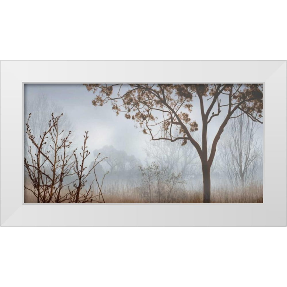Seba, John 14x9 White Modern Wood Framed Museum Art Print Titled ...