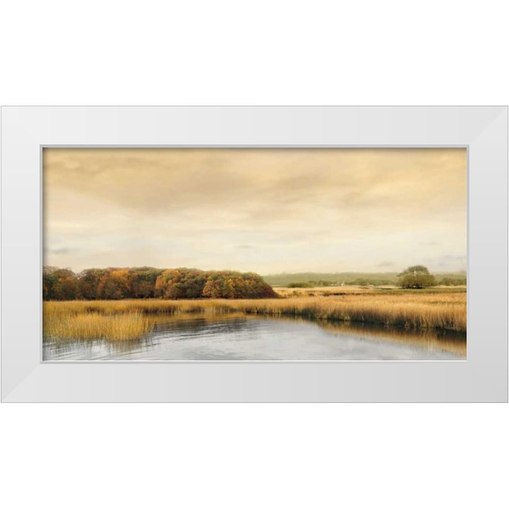 Seba, John 14x9 White Modern Wood Framed Museum Art Print Titled ...