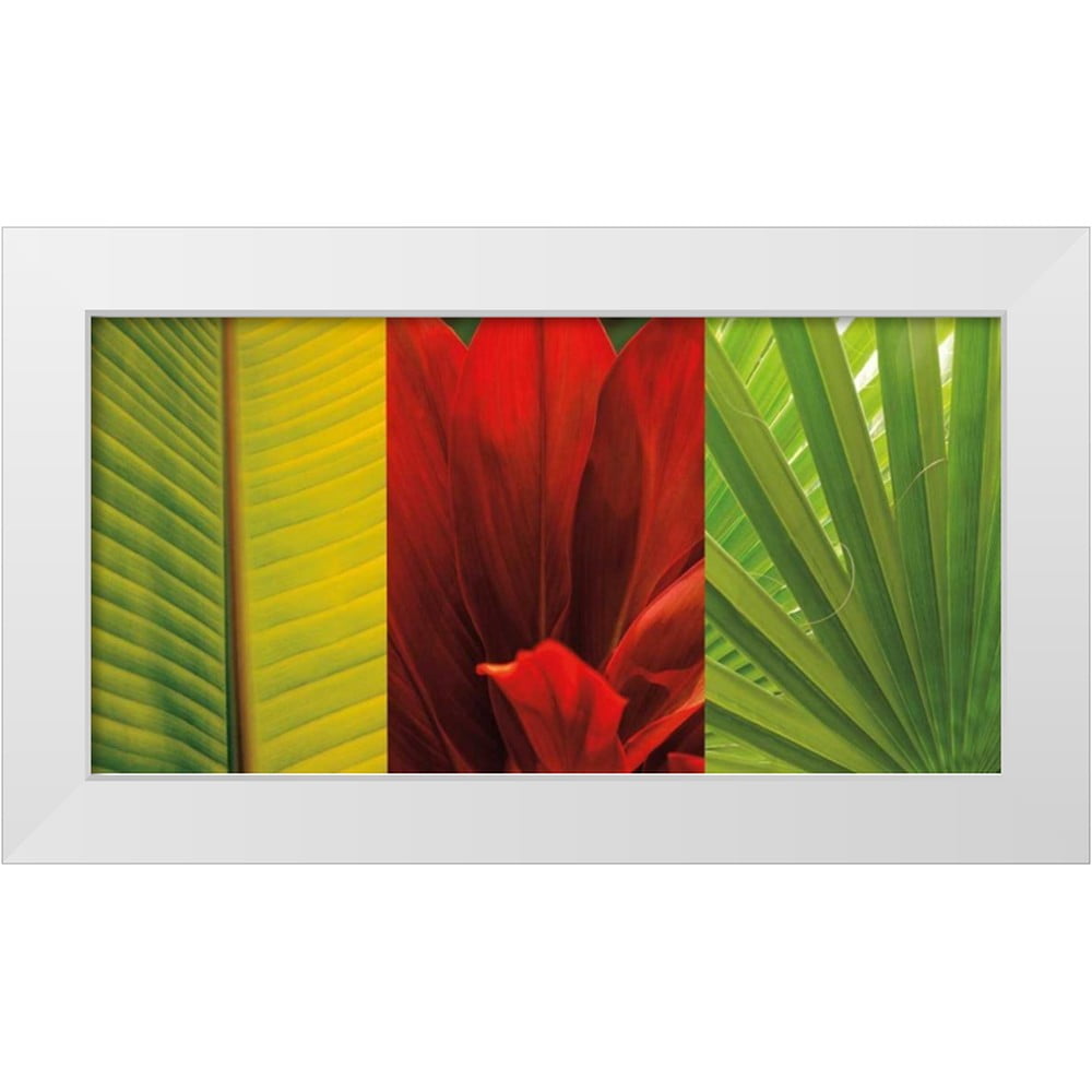 Seba, John 14x9 White Modern Wood Framed Museum Art Print Titled ...
