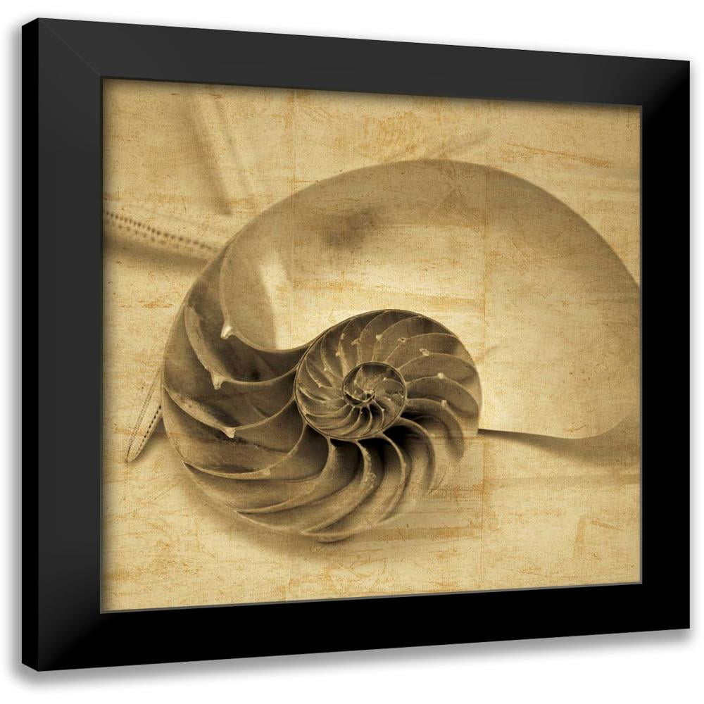 Seba, John 15x15 Black Modern Framed Museum Art Print Titled ...