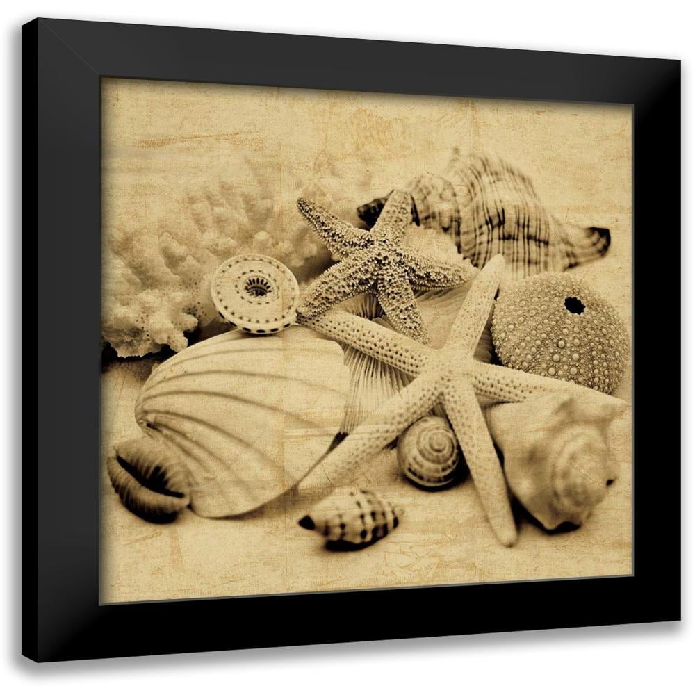 Seba, John 15x15 Black Modern Framed Museum Art Print Titled - The ...