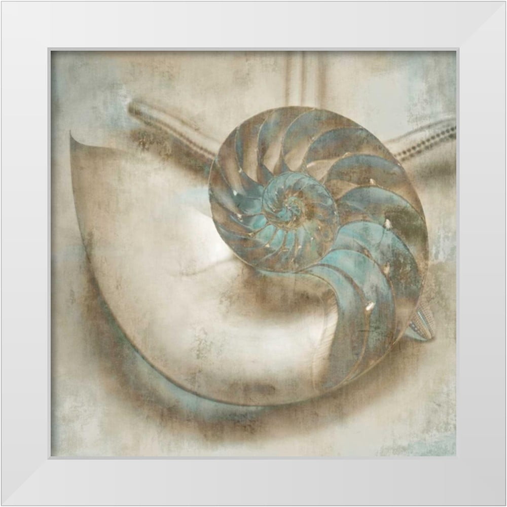 Seba, John 15x15 White Modern Wood Framed Museum Art Print Titled ...